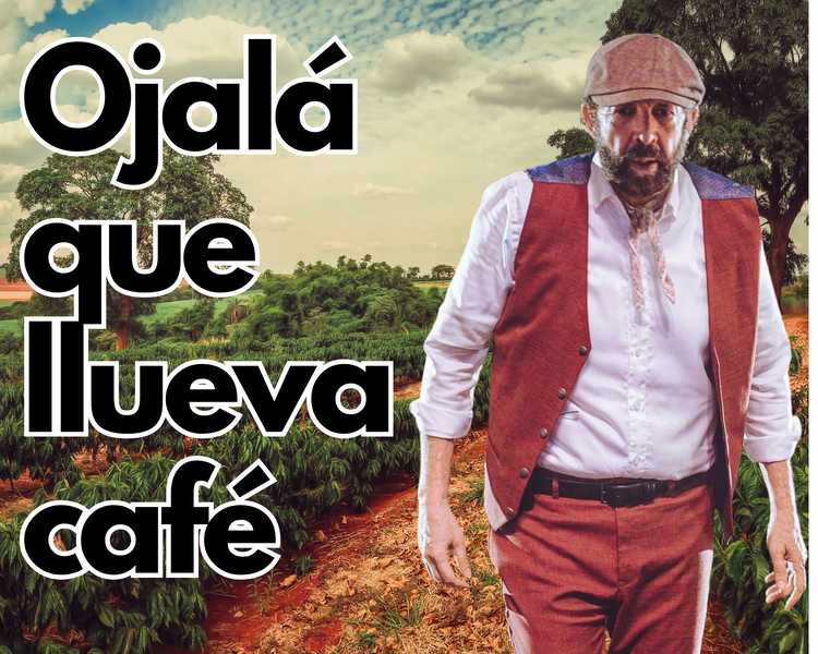 Ojalá que Llueva Café en el Campo: how Juan Luis Guerra inspired us ...